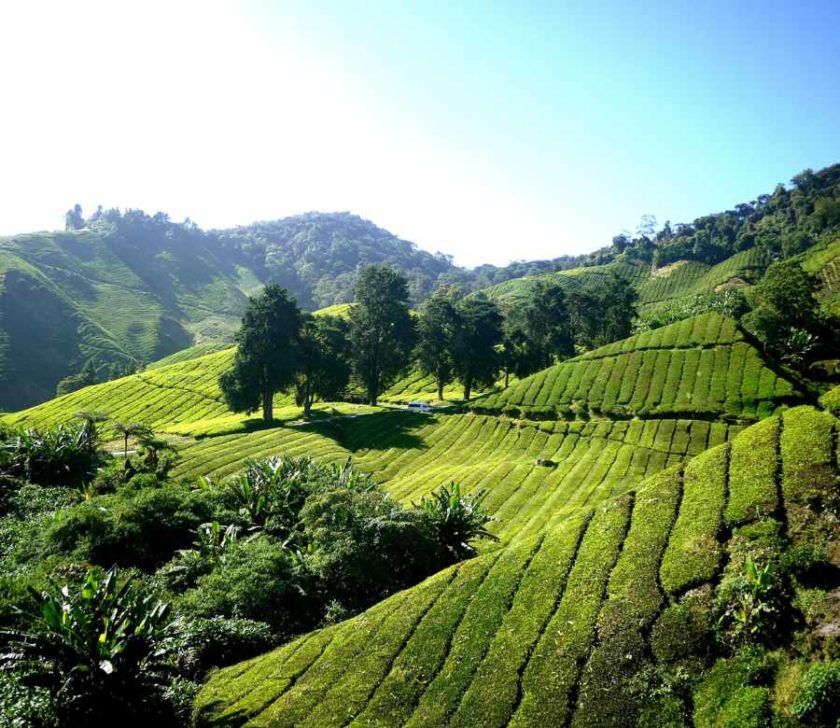 MangaJo drinks: An Invitation to Travel - Foodex