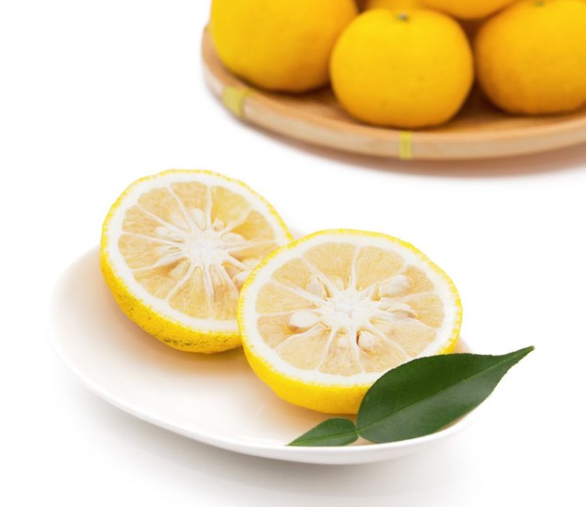 The Zesty Tale of Japanese Yuzu: A Citrus Odyssey - Foodex
