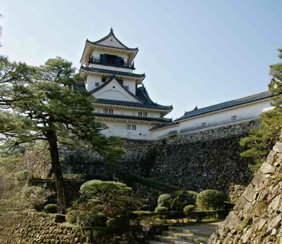 The Zesty Tale of Japanese Yuzu: A Citrus Odyssey - Foodex